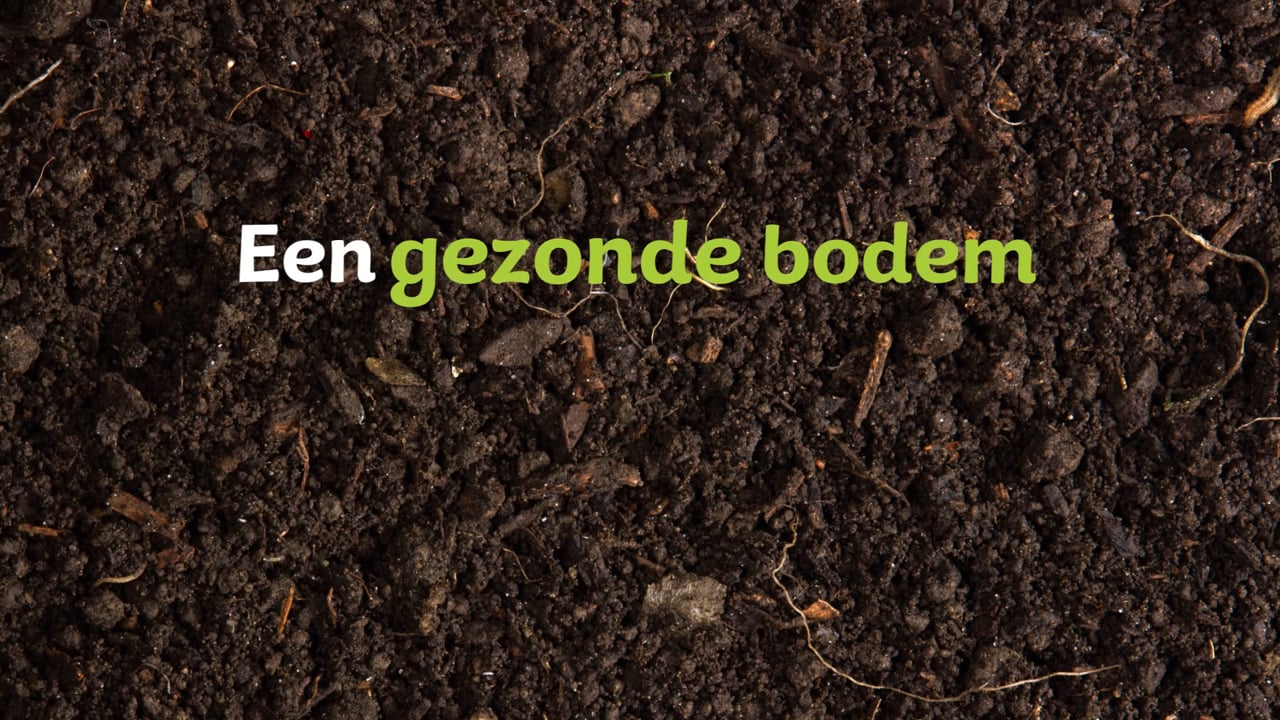 Ecologisch tuinieren